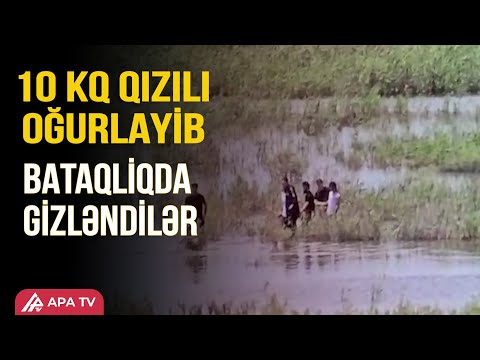 Şamaxıda oğurluq edib Şirvanda ələ keçdilər – APA TV