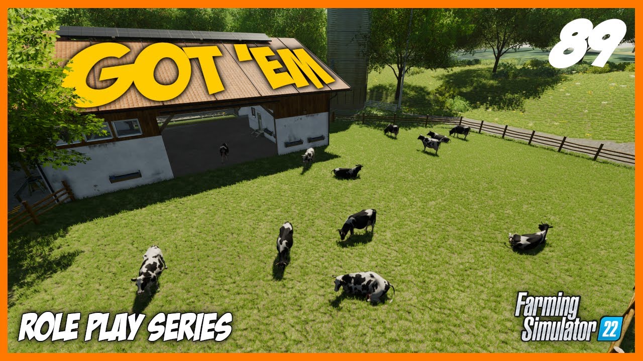 We Have COWS, FINALLY | Farming Simulator 22 ULTIMATE ROLEPLAY Vlog 89 ...