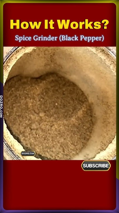 Spice Grinder Food Processor How It Works #food #spices - YouTube
