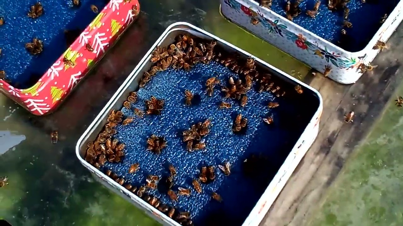 feeding 1/19/22 - YouTube