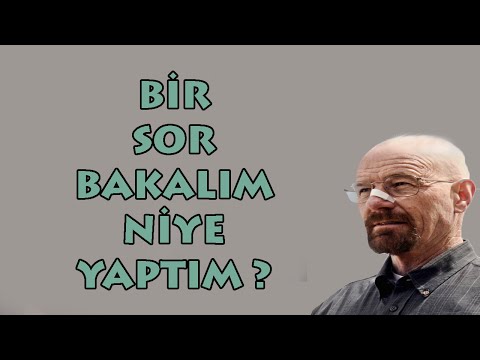 Bir Sor Bakalım Niye Yaptım ?  (Komik Dublaj)