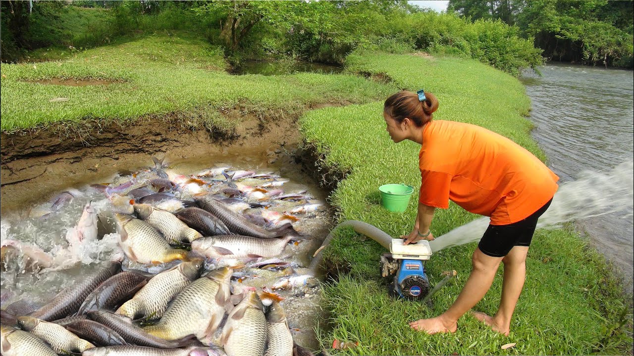 Full videos : Fishing Techniques - Amazing fishing video, Wild fishing ...