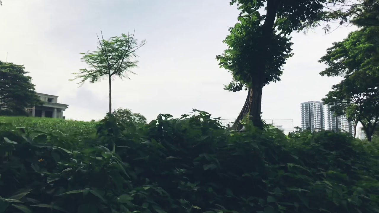 Live Your Live With Nature - YouTube