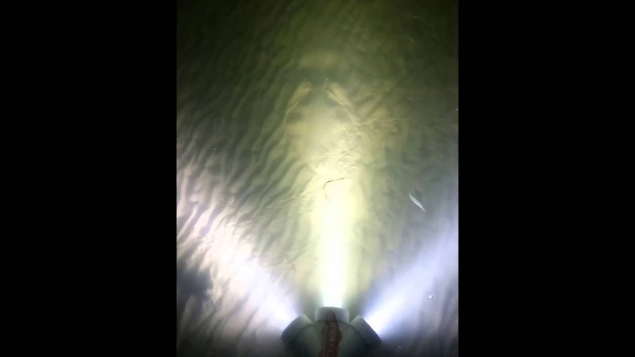Flounder Gigging Lights - YouTube