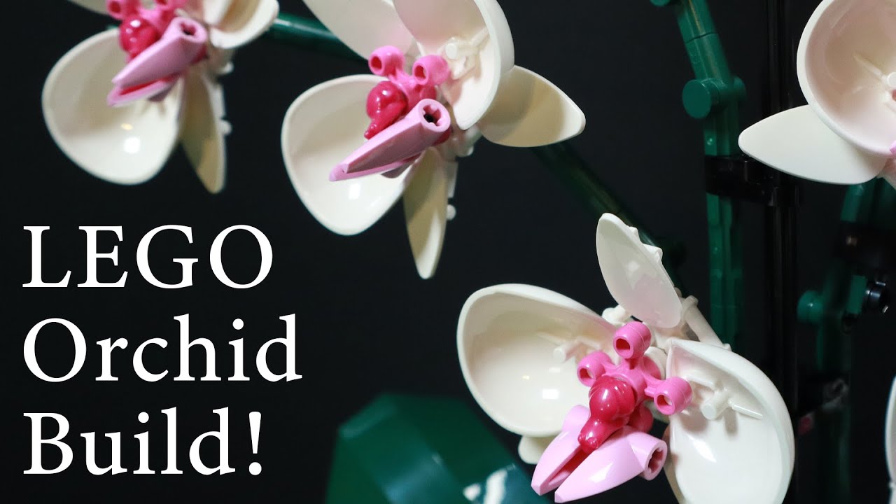 LEGO Botanical Collection - Orchid 10311 Time Lapse Build! - YouTube