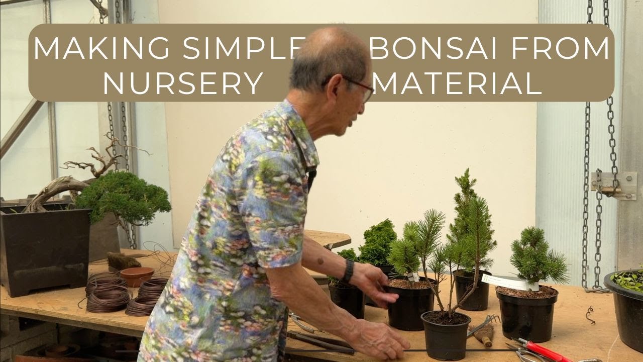 Making Simple Bonsai From Nursery Material - YouTube