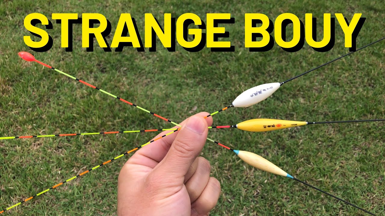 STRANGE FISHING BOUY THAT CATCHS A LOT OF FISH#fishing - YouTube