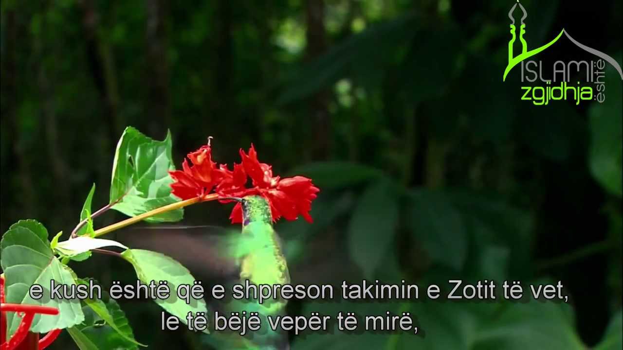 Surja Kehf (ajetet 107-110) - Hoxhë Sadik Avdiu - YouTube