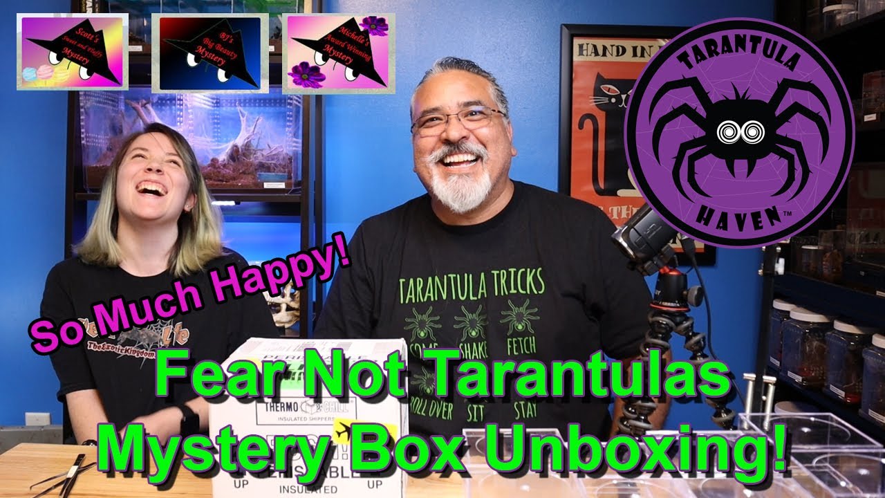 Fear Not Tarantulas Mystery Box Unboxing! - YouTube