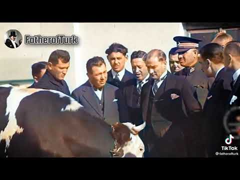 Atatürk'ün hayvan sevgisi