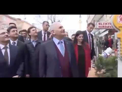 Narcos Cebeci