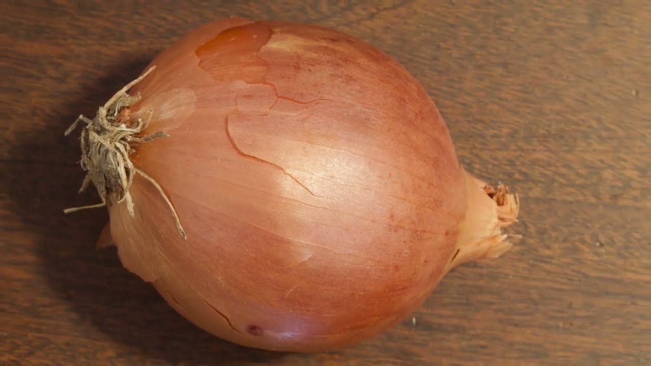 Onion skin under the microscope - YouTube