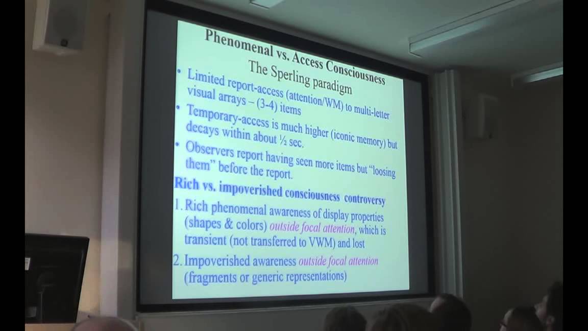 Marius Usher: The cost-free phenomenality of colour-diversity in a ...