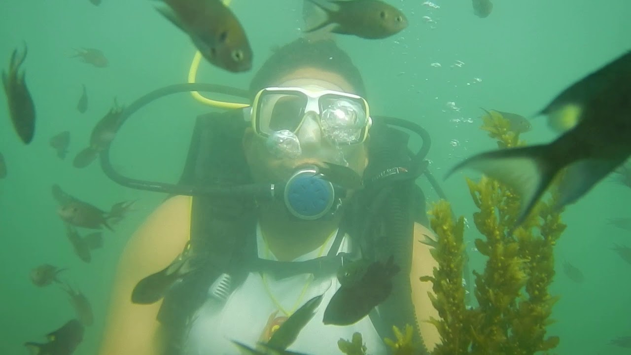 goa scuba - YouTube