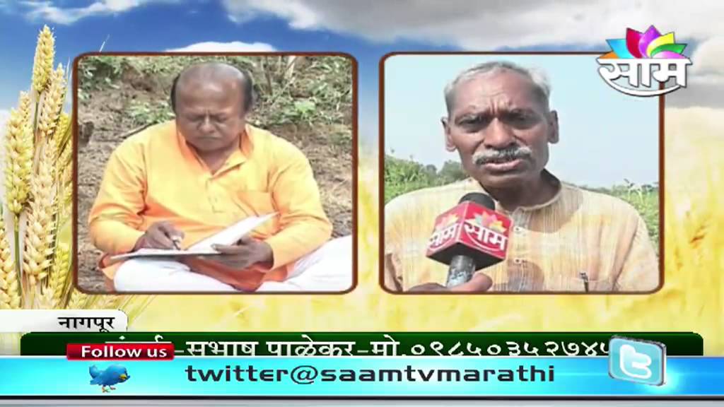 Benefits of zero budget farming by Subhash Palekar - YouTube
