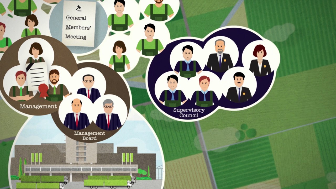 Animation Corporate Governance (English) - YouTube