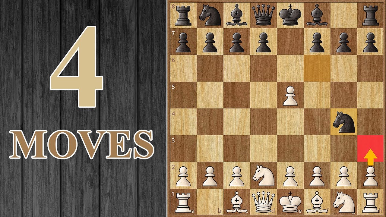 4 MOVES CHESS GAME! - YouTube