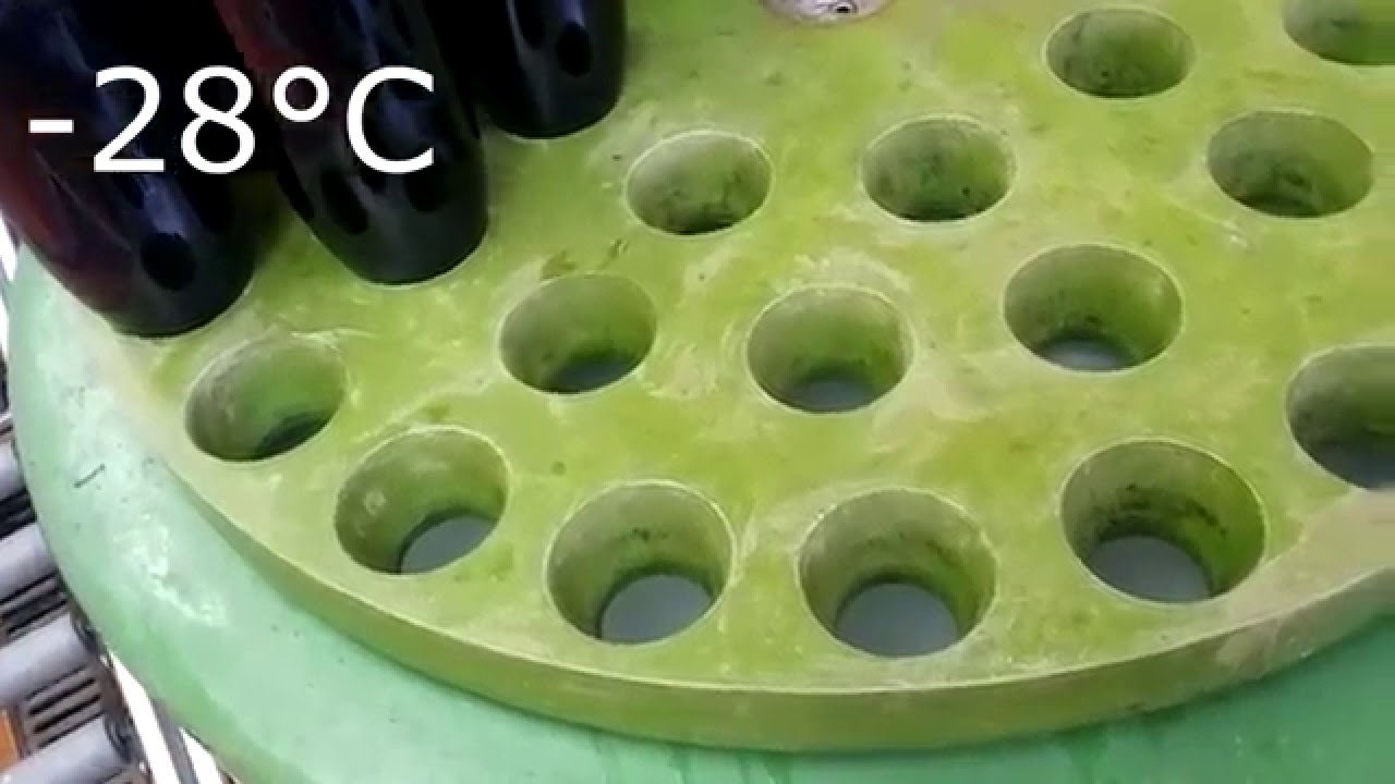 Wine Tour Catalonia: Disgorging by hand of cava sparkling wine - YouTube