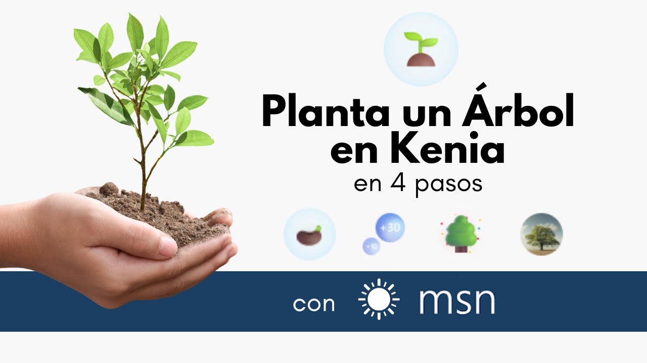 Planta un Árbol en Kenia, jugando en EL TIEMPO de Microsoft - YouTube