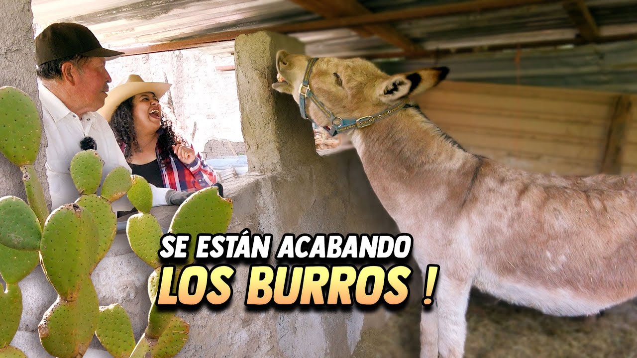 Aquí en mi RANCHITO Tengo TODO y SOY MUY FELÍZ | Lety Carrillo - YouTube