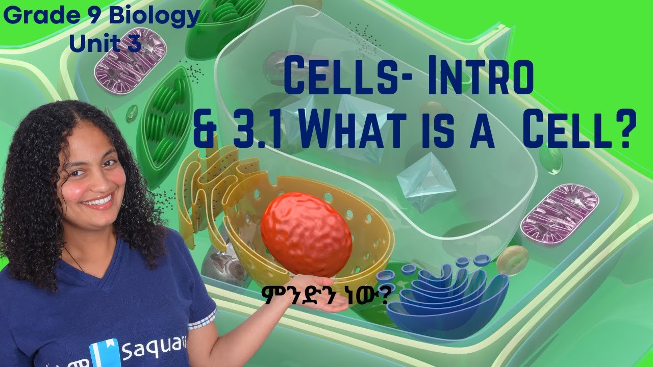 Grade 9 Biology Unit 3:Cells -Intro & 3.1 What is a Cell? Saquama | ሳቋማ ...
