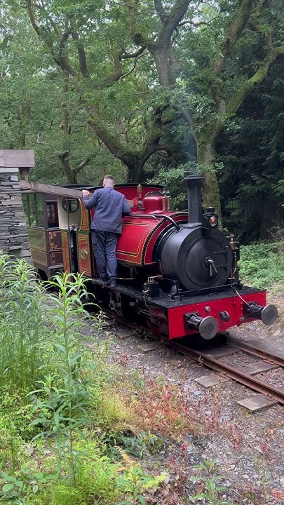 Talyllyn Railway Photo Charter Special With Corris Railway NO 10 Visiting - YouTube