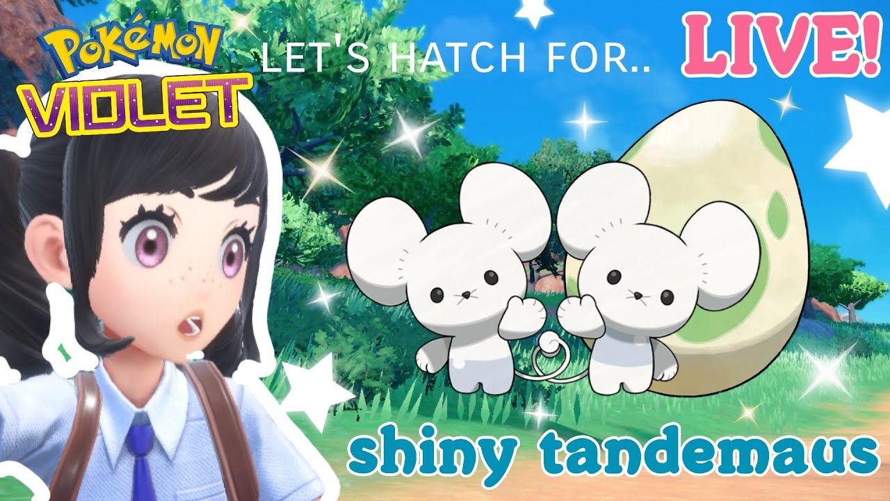 LIVE - LET'S HANG OUT AND HATCH EGGS FOR SHINY TANDEMAUS! Playing ...