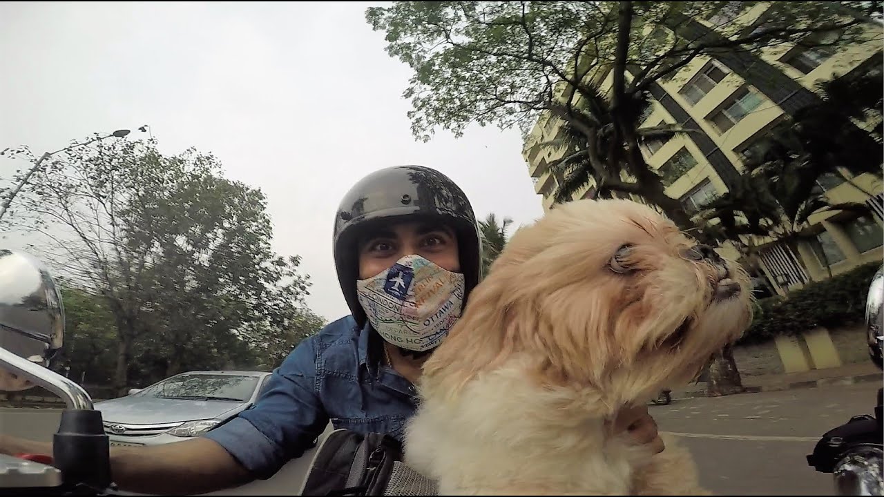 Himalayan Visor on Interceptor 650 - YouTube