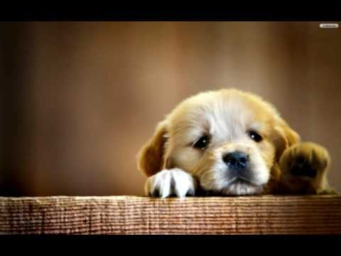 Jivotni 😀😁😀😀😁