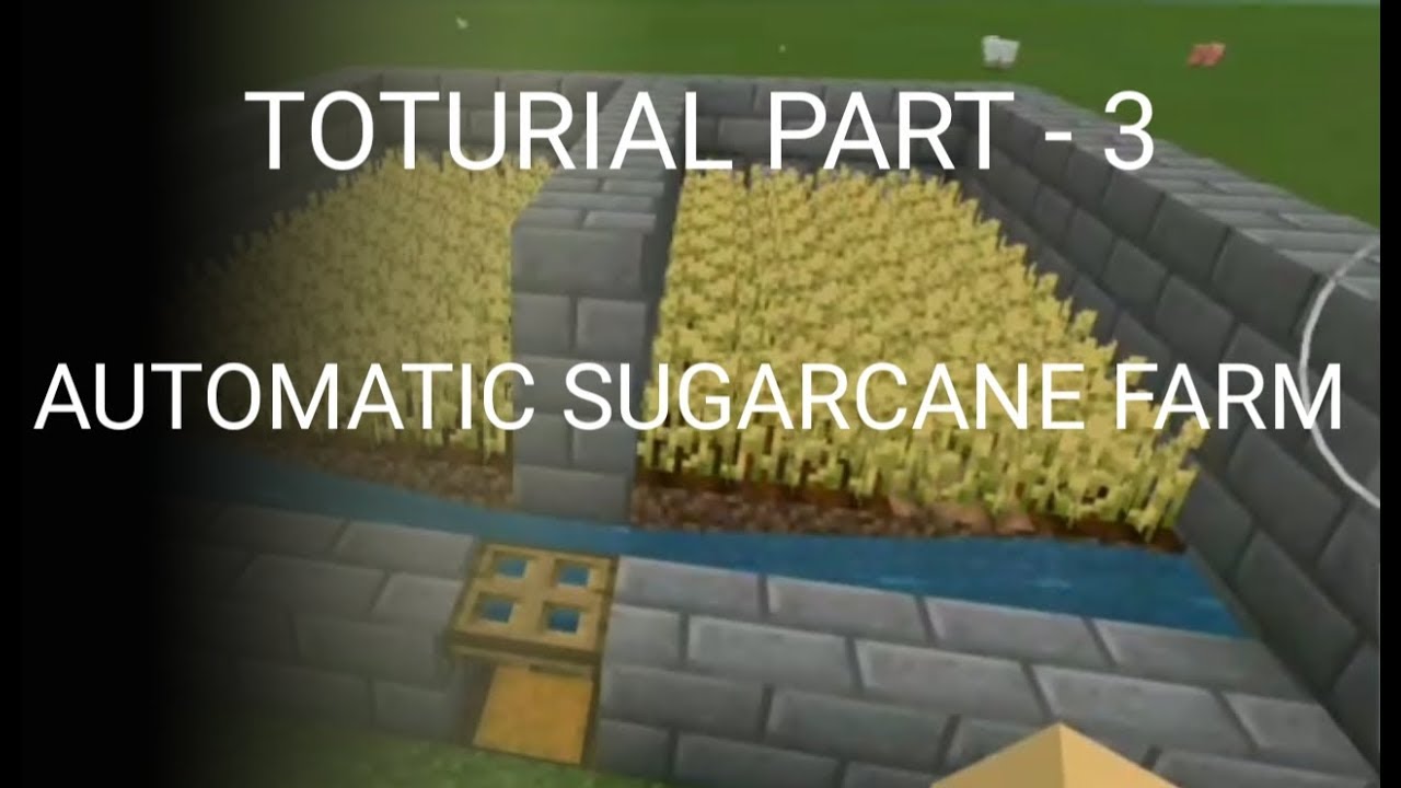 AUTOMATIC SUGARCANE FARM - YouTube