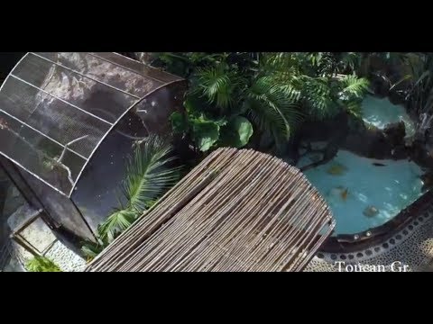 How To Build a Cage For Toco Toucan - YouTube