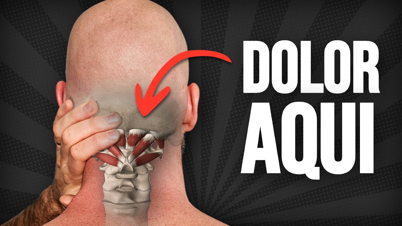 3 técnicas para ALIVIAR el DOLOR de los suboccipitales o la base del ...