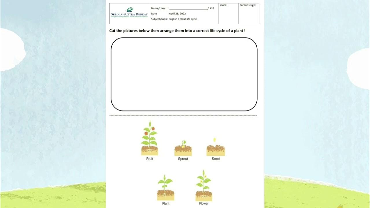 English - Kindergarten 2 - Plant Life Cycle - YouTube
