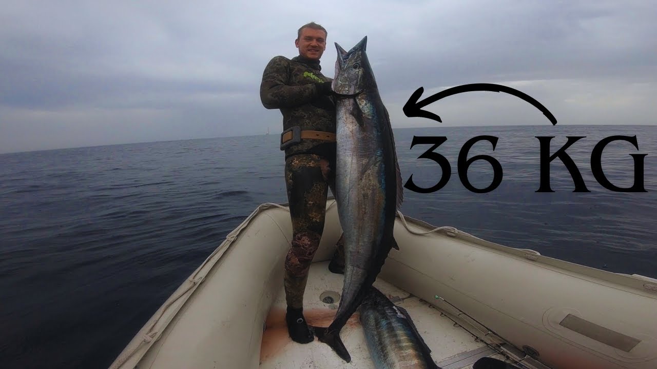 MASSIVE WAHOO SPEARFISHING | Pesca Submarina en Canarias - YouTube