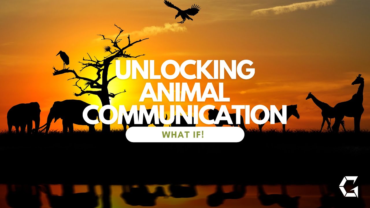 Unlocking Animal Communication: Imagining Conversations with Creatures ...