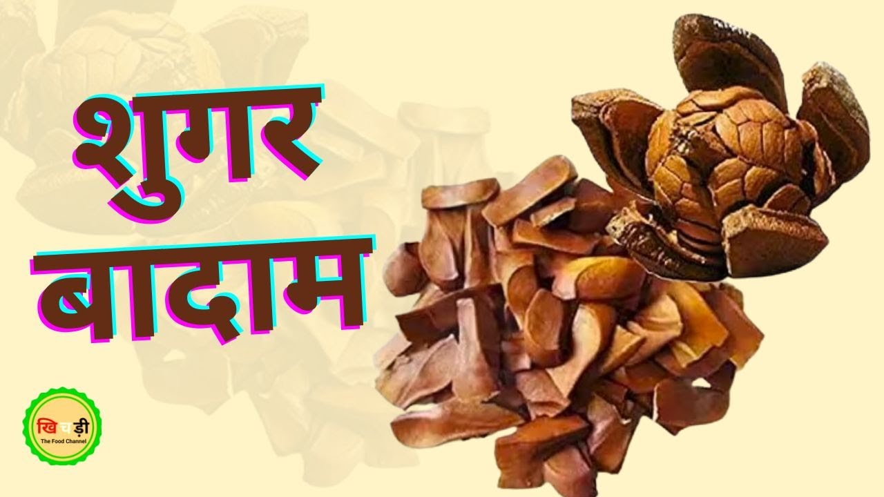 Sugar Badam Benefits, Also Known As Diabetes Almonds, Kadwa Badam # ...