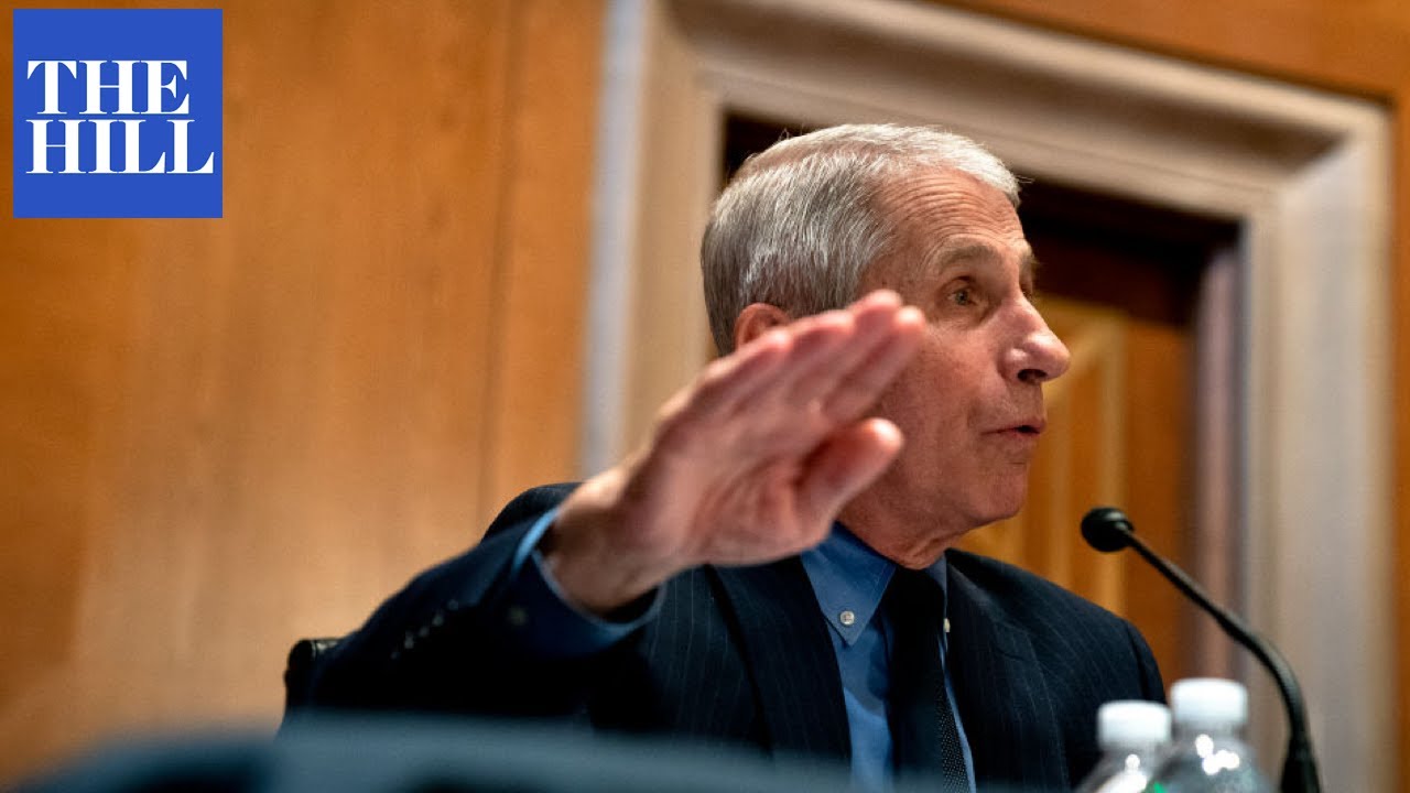 Dr. Fauci testifies at Senate hearing on funding the National ...