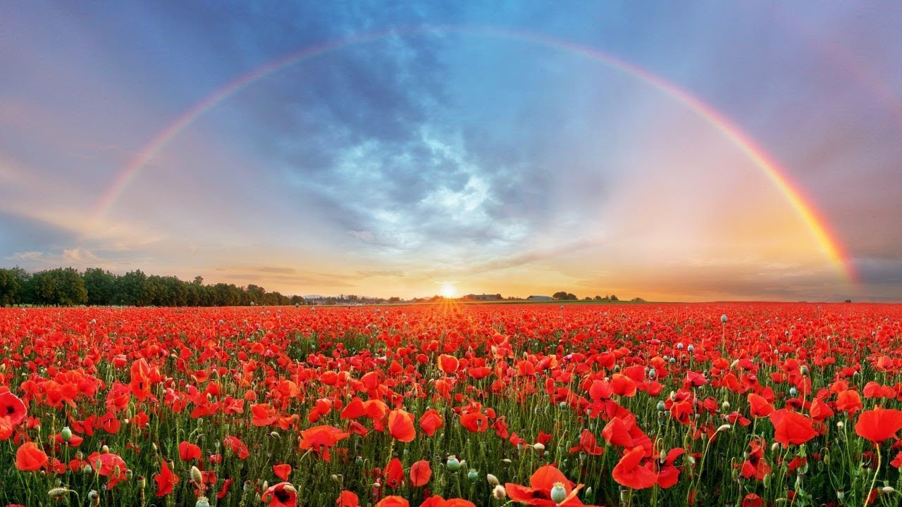 A Colorful Journey with ADM’s Colors From Nature™ at the Field Museum ...