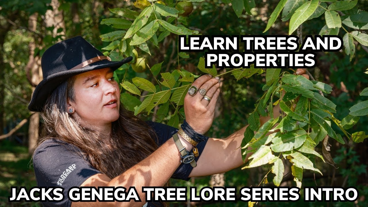 Jacks Genega Tree Lore Video Series Introduction - YouTube