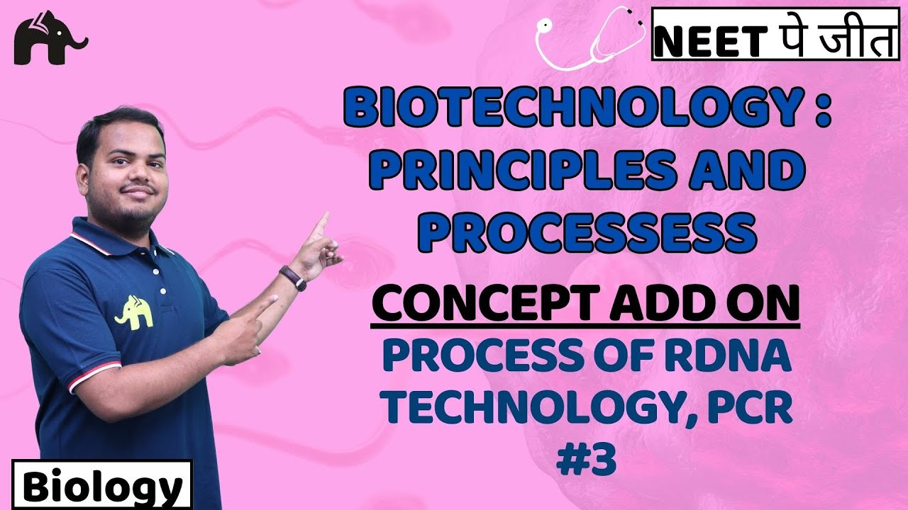 Biotechnology:Principles and processes Class 12 Biology NEET | NCERT ...