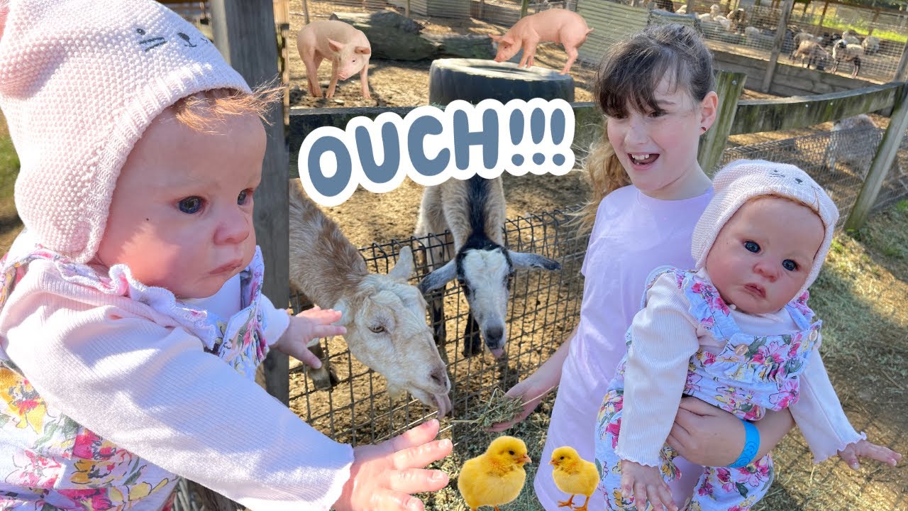 *REBORN OUTING with a TODDLER* NATALIE GETS BITTEN BY A GOAT AT THE ...