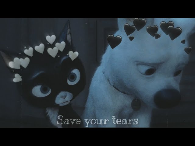 Bolt And Mittens Love Story Bolt “They Act Like They Love You”