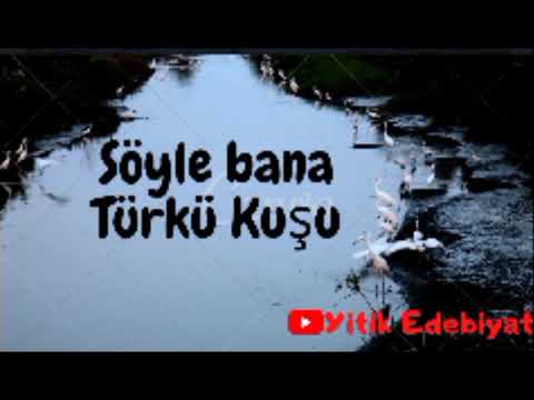 Söyle Bana Türkü Kuşu Uçar İken Ne Düşündün? Yusuf Hayaloğlu- BİR YUDUM ŞİİR - Yitik Edebiyat 🌹