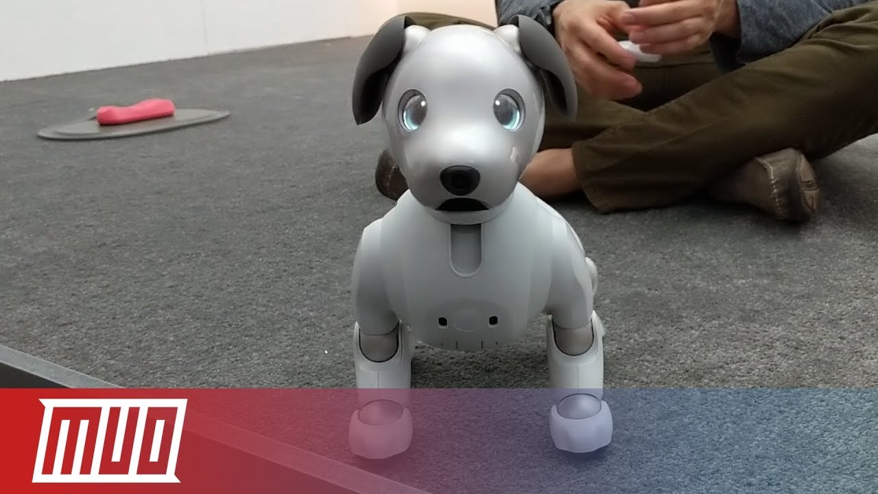 MUO at CES Day 2: Shaq O'Neal, Smart Doorbells & Robot Dogs - YouTube