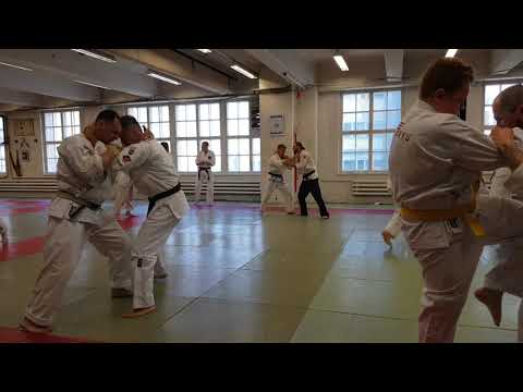 Hokutoryu Ju-Jutsu training in main Dojo 06.07.2019 Helsinki Finland ...