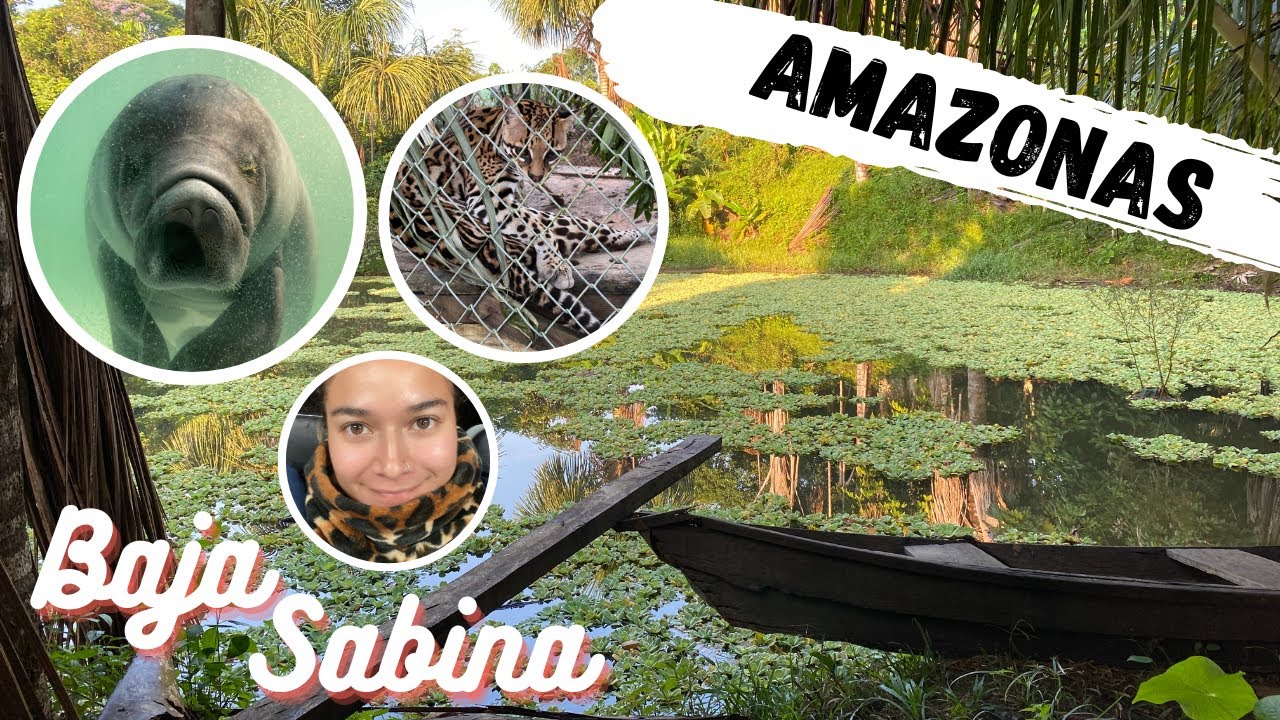 2. ¡Primeros días en el AMAZONAS! - YouTube