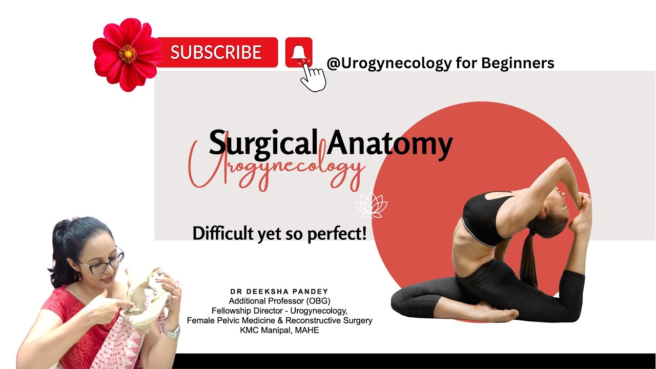 Anatomy and Surgical Hacks in Urogynecology | Anatomy of Pelvic Floor ...