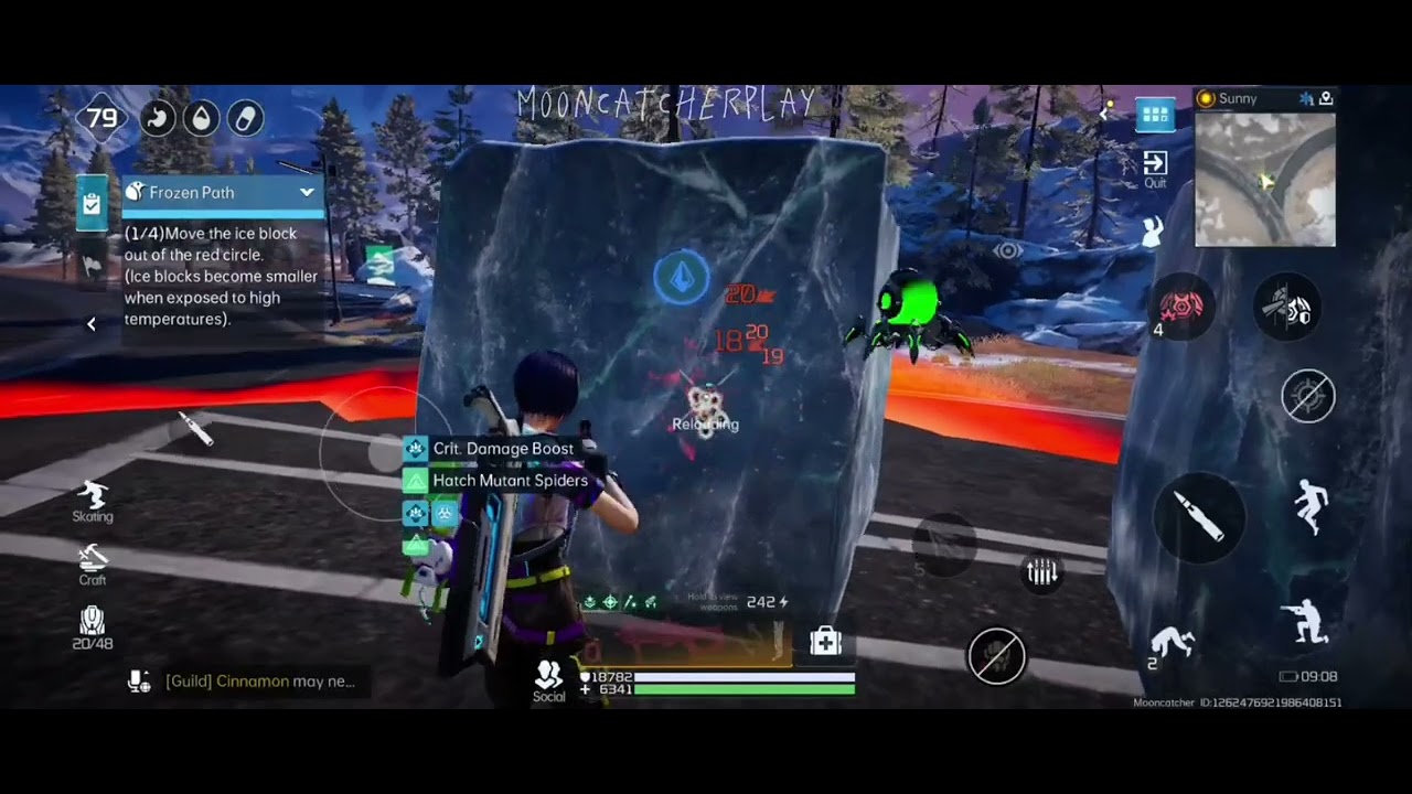 Zona Commission : Frozen Path (West Snowfield, Ragon Snow Peak map ...