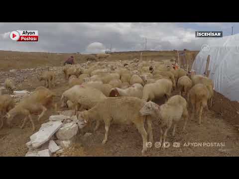 fyon'da sel baskınında ağılı hasar gören çiftçiye çadır verildi!