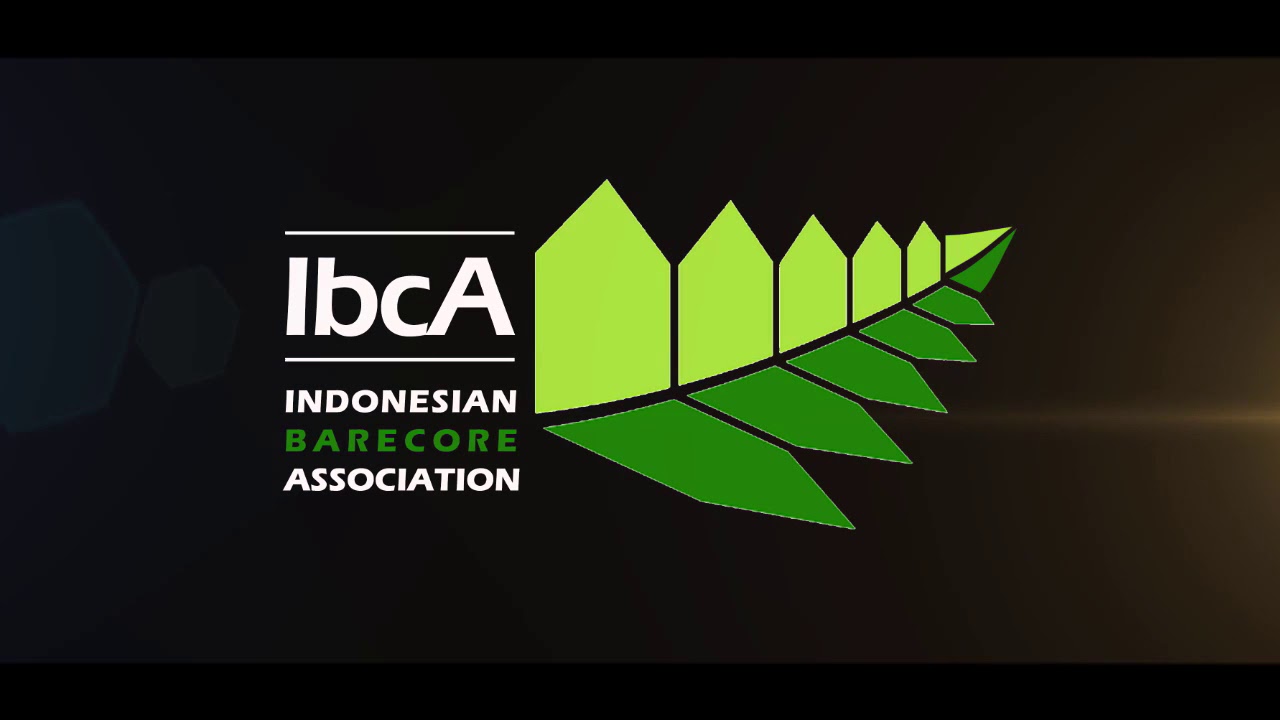 IBCA REPORT 2ND ANNIVERSARY - YouTube